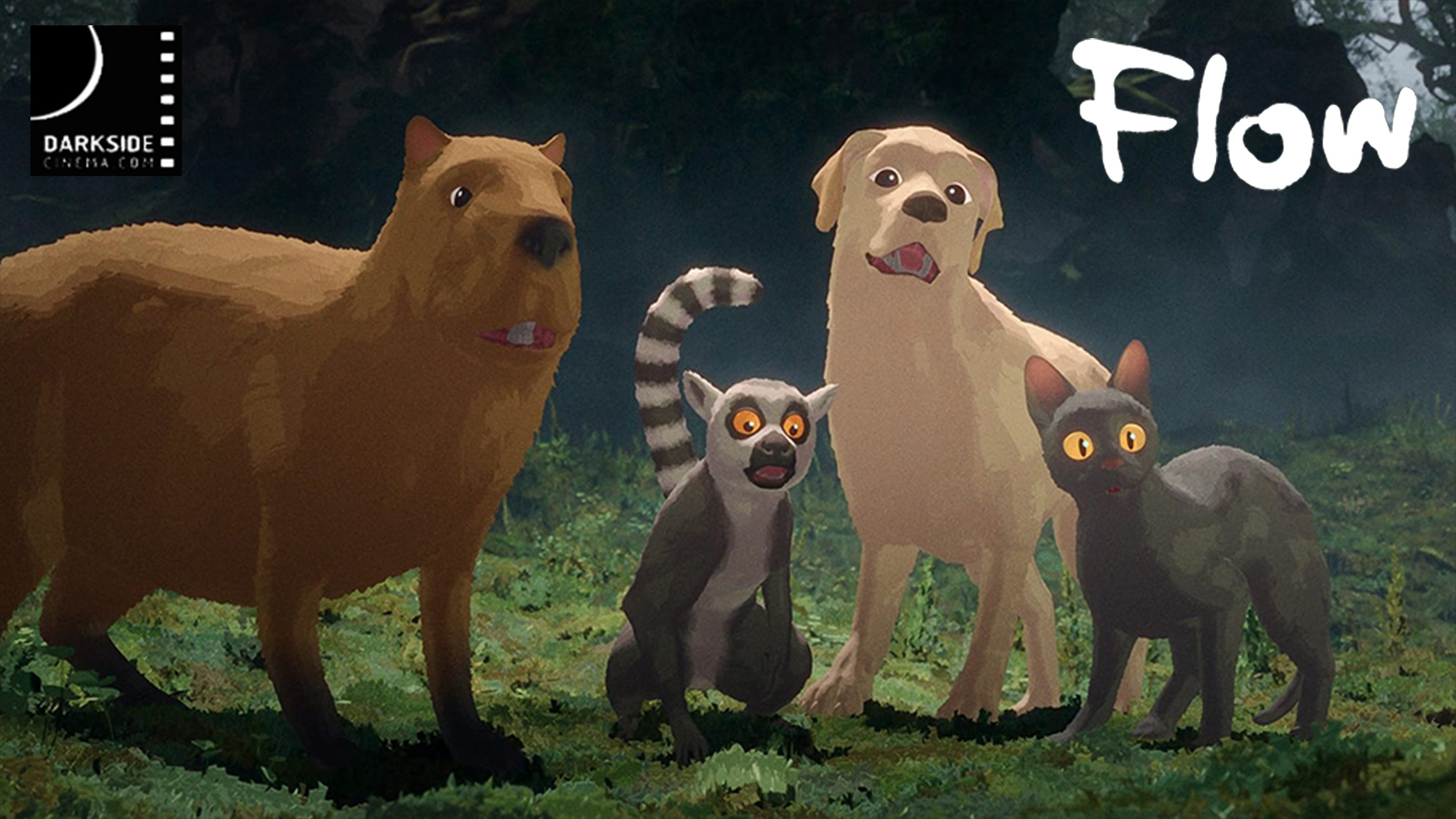 Darkside Cinema Corvallis: Welcome to Darkside Cinema